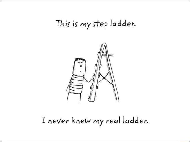 This is my step ladder. never knew my real ladder. - iFunny