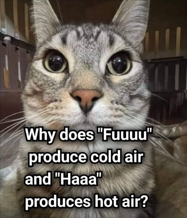 SS Why does "Fuuuu" produce cold air and "Haaa" produces hot air? - iFunny