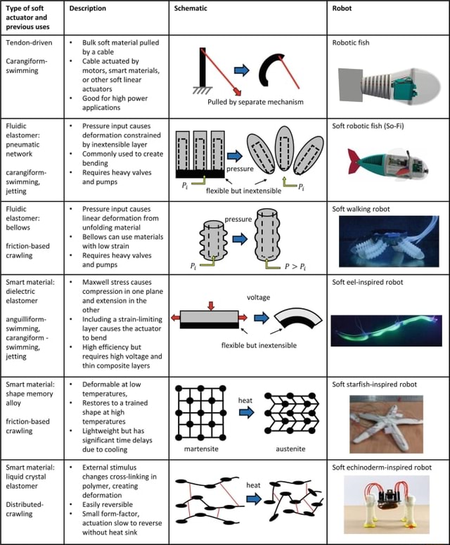 Type of soft IDescription Robot actuator and previous uses Tendon ...