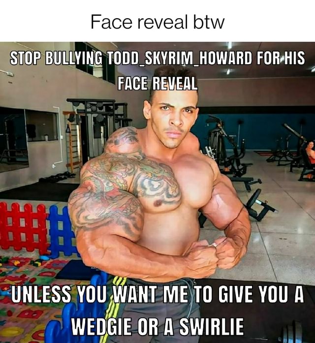 Face reveal btw STOP BULLYING TODD_SKVRIM HOWARD FOR-HIS FACE REVEAL ...