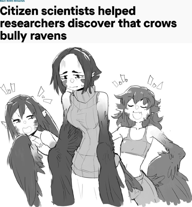 Citizen scientists helped researchers discover that crows bully ravens ...