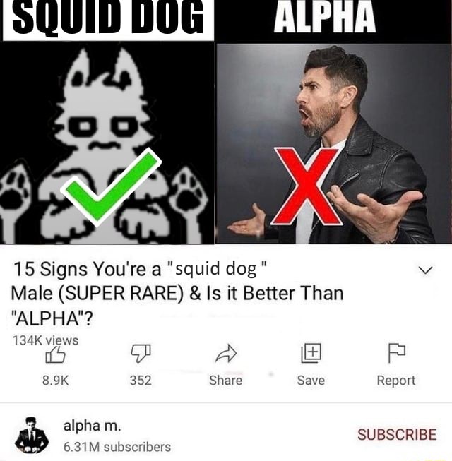 15 Signs You're a "squid dog" Male (SUPER RARE) & Is it Better Than ...