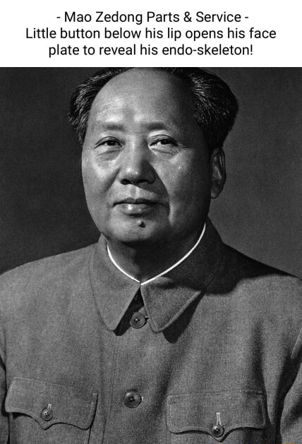 Mao Zedong Parts & Service - Little button below his lip opens his face ...