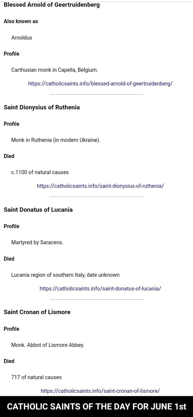 Blessed Arnold of Geertruidenberg Also known as Arnoldus Profile ...