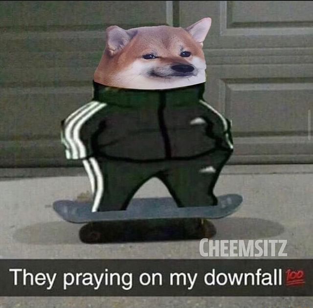 Cheemsitz on Instagram - They praying on my downfall - iFunny