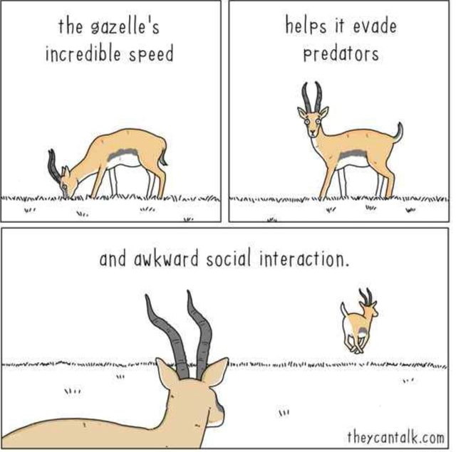 The gazelle's helps it evade incredible speed predators ye com and ...