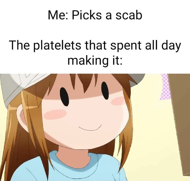 Me: Picks a scab The platelets that spent all day making it: - iFunny
