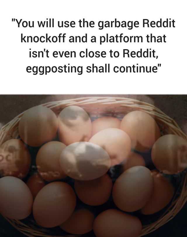 Egg_irl - "You will use the garbage Reddit knockoff and a platform that ...
