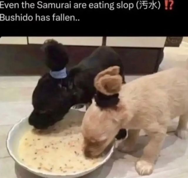 Even the Samurai are eating slop Bushido has fallen.. - iFunny