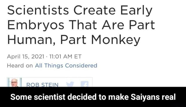 Scientists Create Early Embryos That Are Part Human, Part Monkey April ...