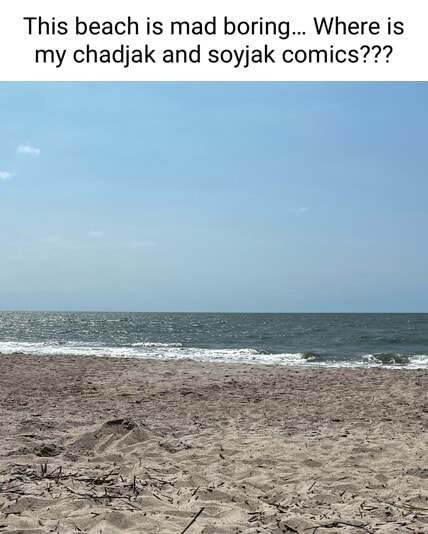 This beach is mad boring... Where is my chadjak and soyjak comics ...