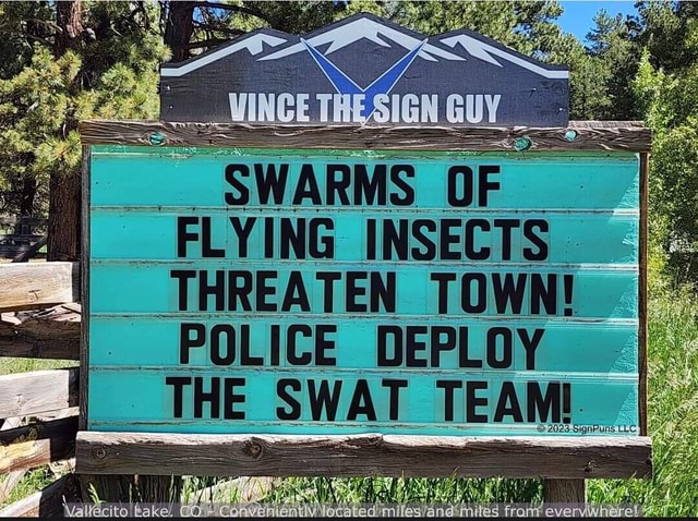 ~SWARMS OF FLYING INSECTS _ THREATEN TOWN! POLICE DEPLOY _THE SWAT TEAM ...