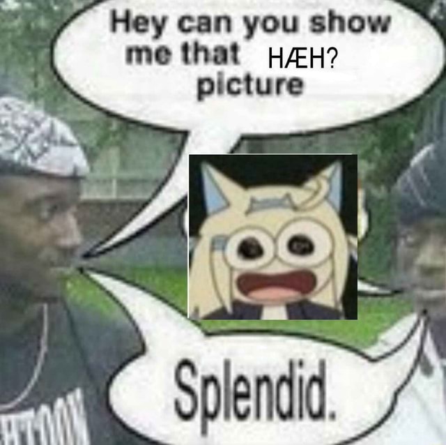 Hey can you show me that HAH? picture - iFunny