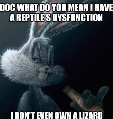 DOC WHAT DO YOU MEAN I HAVE AREPTILE'S DYSFUNCTION DON'T EVEN OWN ...