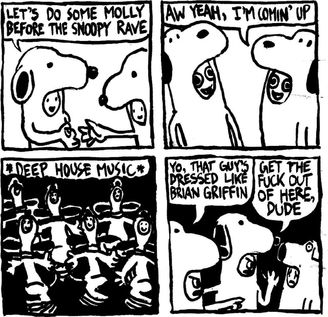 BEFORE THE SNOOPY RAVE - iFunny