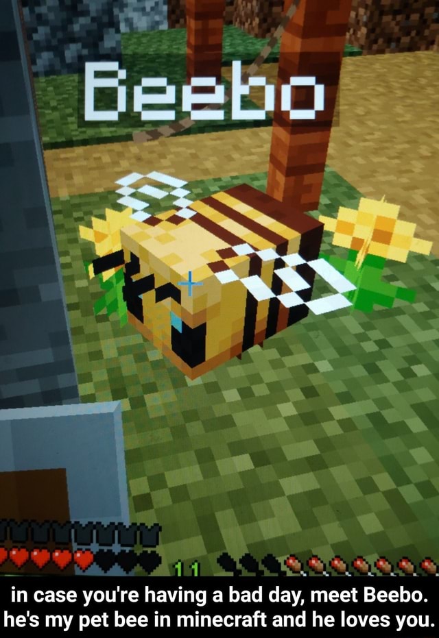 Loves you. in case you' re having a bad day, meet Beebo. he's my pet ...