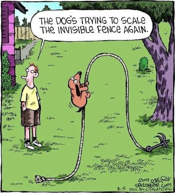 THE DOGS TRYING To SCALe THE INVISIBLE FENCES AGAIN. CREATORS - iFunny