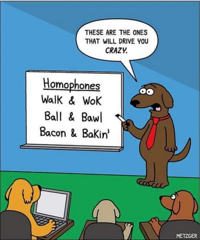 THESE ARE THE ONES THAT WILL DRIVE YOU CRAZY. Homophones Walk & Wok ...