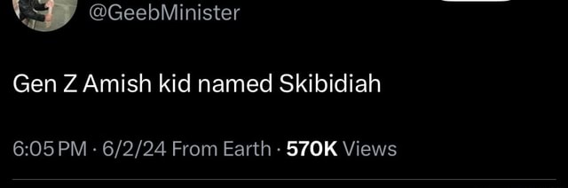 @GeebMinister Gen Z Amish kid named Skibidiah PM From Earth - 570K ...