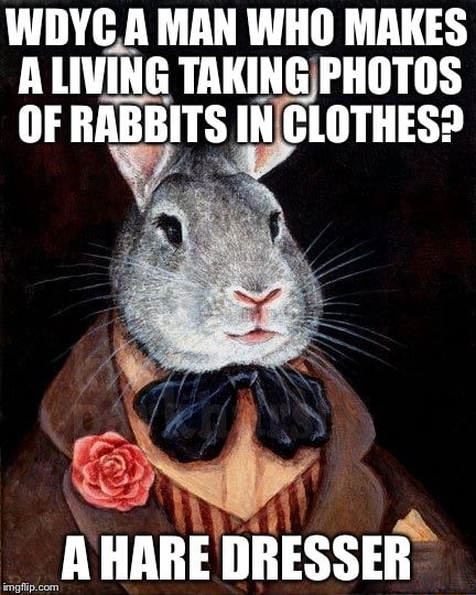 #dadjokes #rabbits #meme #badpuns - WDYC A MAN WHO MAKES A LIVING ...