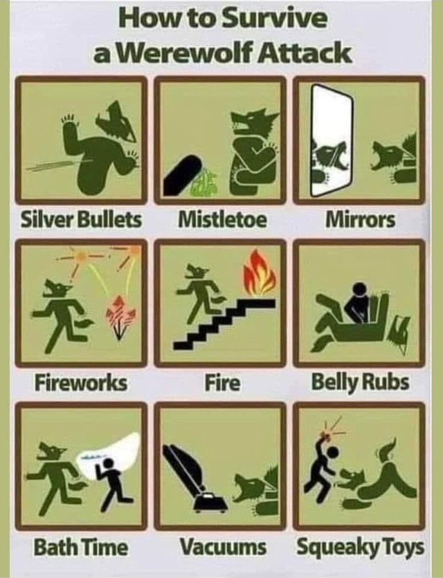 How to Survive a Werewolf Attack Bath Time Vacuums Squeaky Toys ...