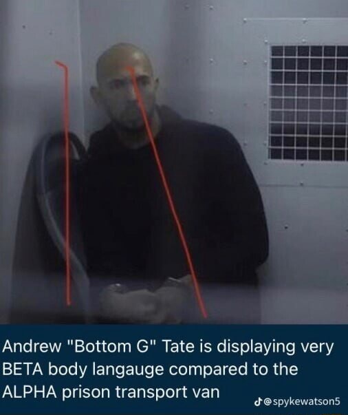 Andrew "Bottom G" Tate is displaying very BETA body langauge compared ...
