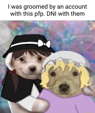 Was groomed by an account with this pfp. DNI with them - iFunny