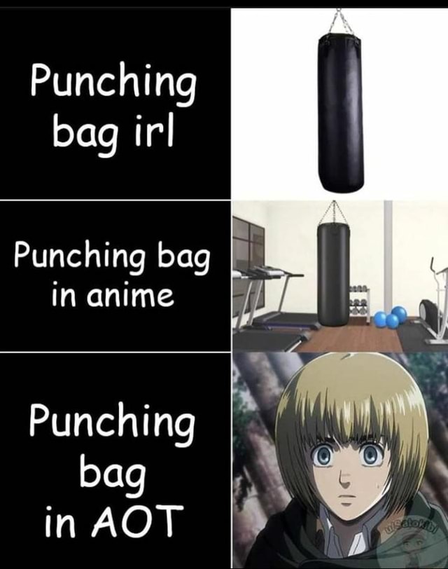 Punching bag irl Punching bag I in anime Punching bag in AOT - iFunny