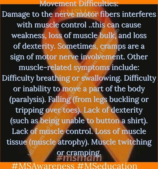 Movement Damage to the nerve motor fibers interferes with muscle ...