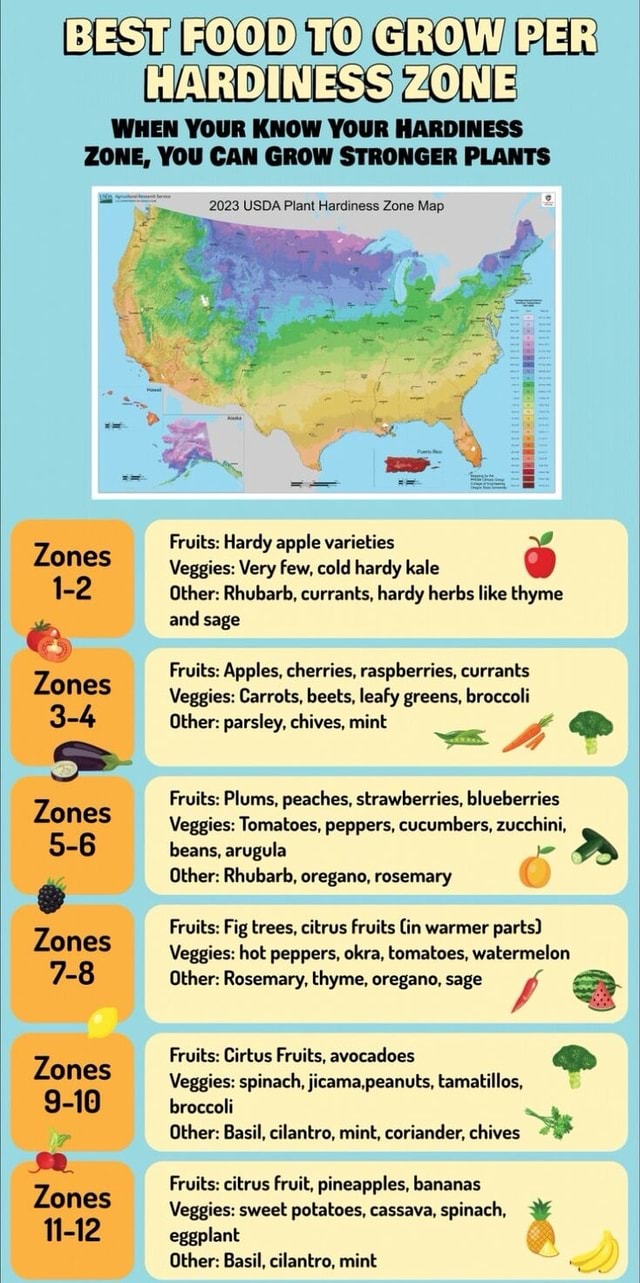 TO HARDINESS WHEN YOUR KNOW YOUR HARDINESS ZONE, YOU CAN GROW STRONGER PLANTS 2023 USDA Plant ...