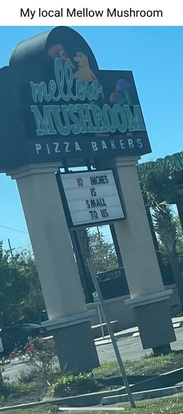 My local Mellow Mushroom - iFunny