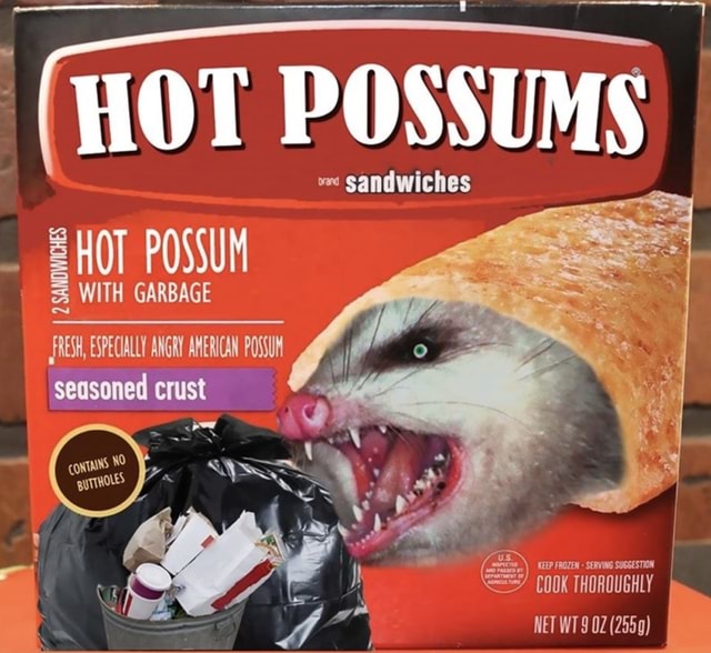 HOT POSSUMS HOT POSSUM WITH GARBAGE RES, PECL ANGRY POSSUM ESPECMLLY ...