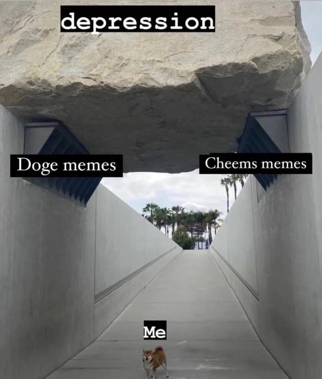 Depression Doge memes Cheems memes - iFunny