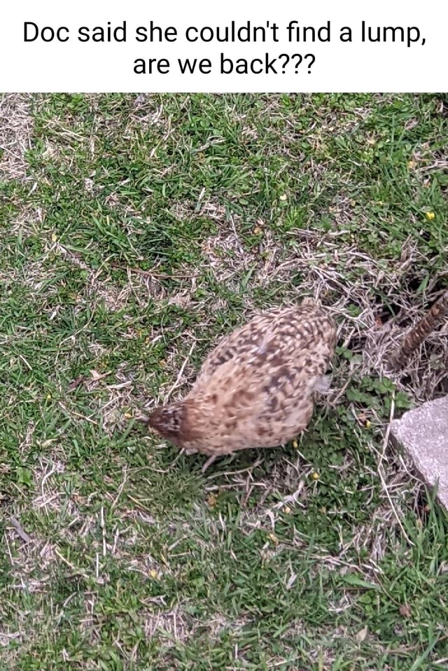 Doc said she couldn't find a lump, are we back??? le it - iFunny