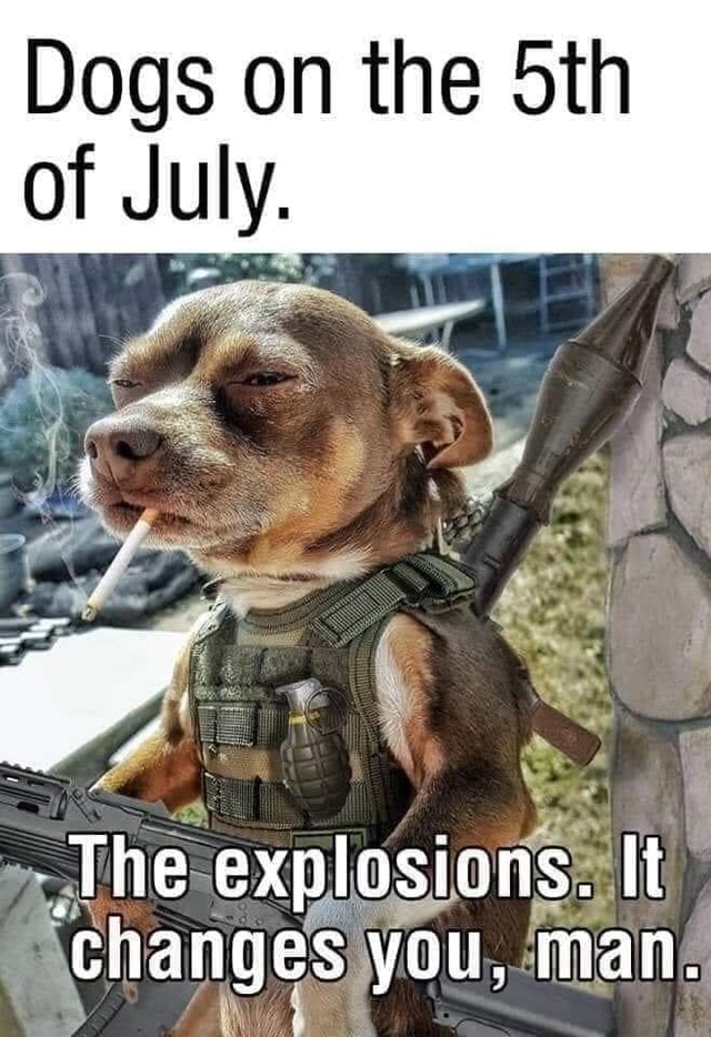 Dogs on the Sith July. " The explosions. It changes) you, man. - iFunny