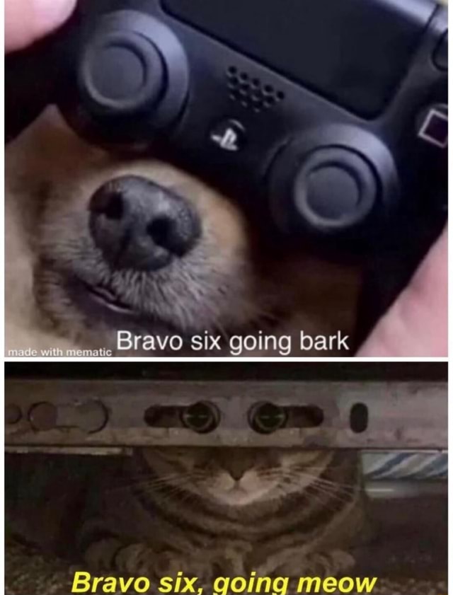 Nematic Bravo six going bark Bravo Six, going meow - iFunny
