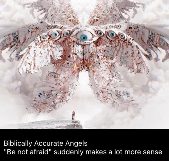 Biblically Accurate Angels "Be not afraid" suddenly makes a lot more ...