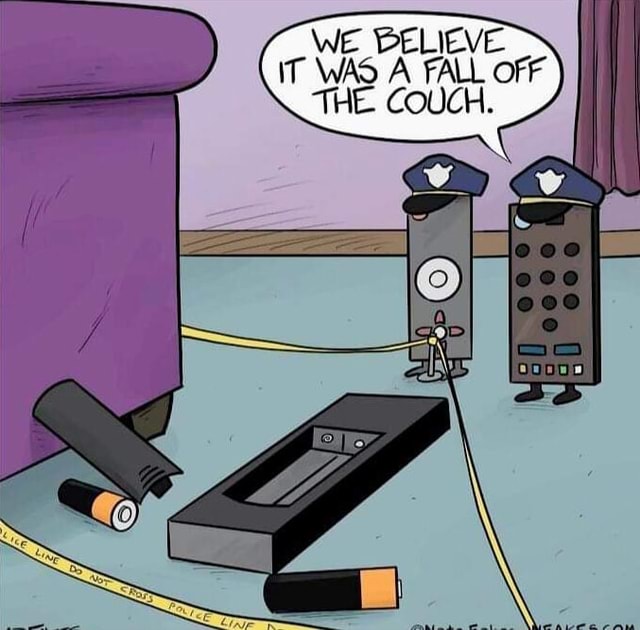 WE BELIEVE IT WAS A _FALL OFF THE COUCH. - iFunny