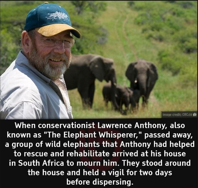 Imoge credit: C8C.co When conservationist Lawrence Anthony, also known ...