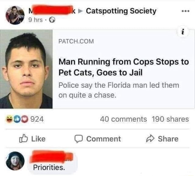 9hrs _k Catspotting Society Man Running from Cops Stops to Pet Cats ...