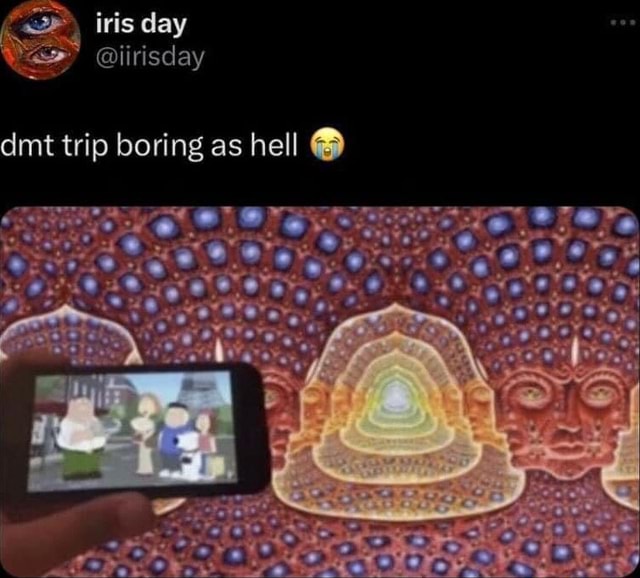 Iris day @iirisday dmt trip boring as hell - iFunny