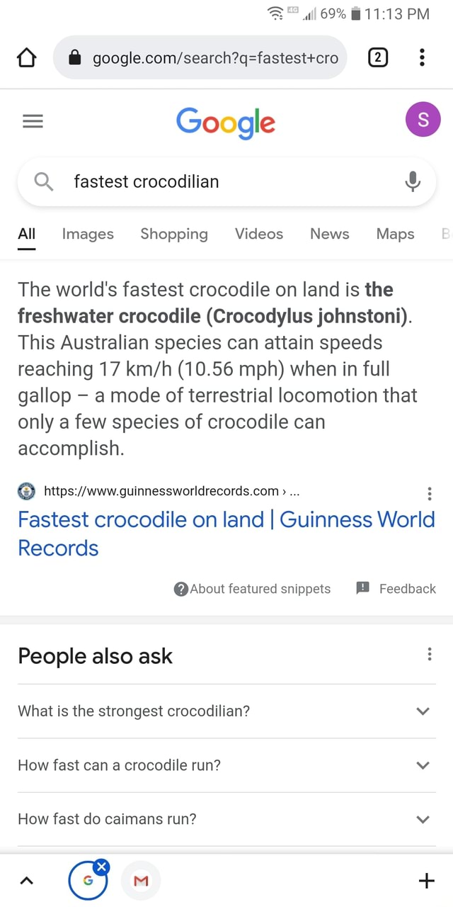 69% PM (2) Google fastest crocodilian All Images Shopping Videos News ...
