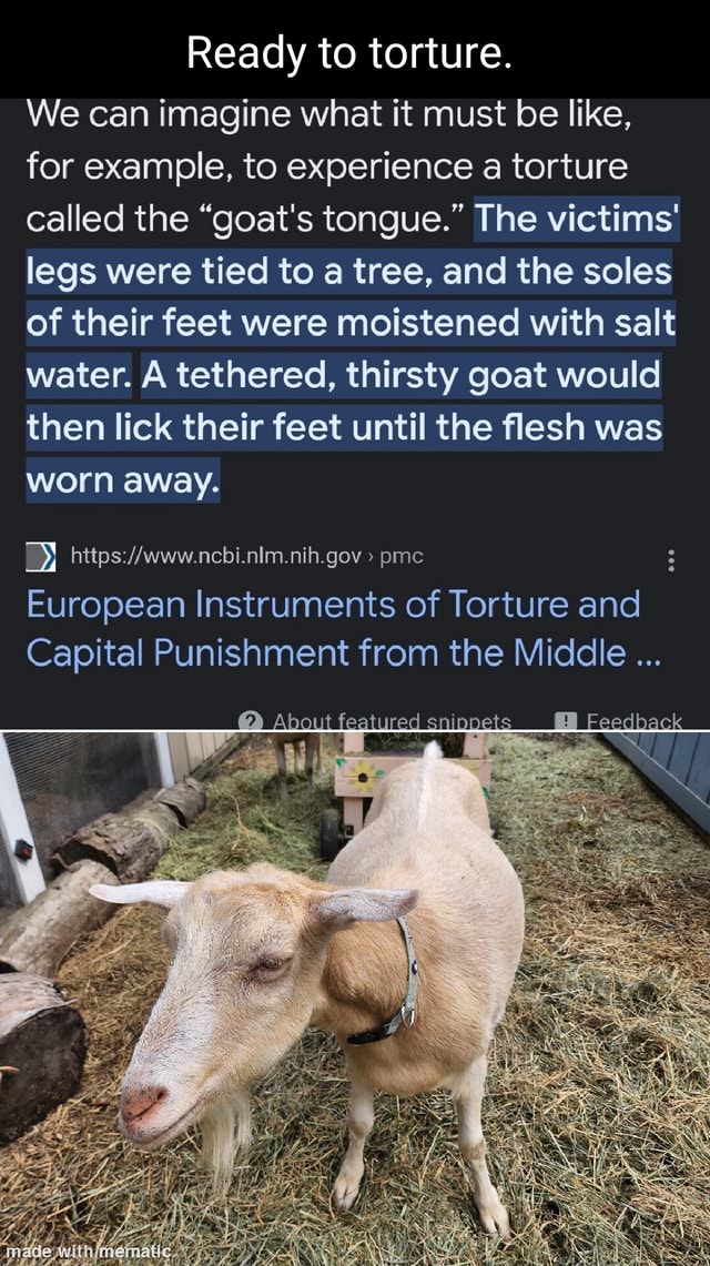 Ready to torture. We can imagine what it must be like, for example, to ...