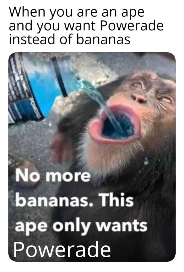 When you are an ape and you want Powerade instead of bananas No more ...