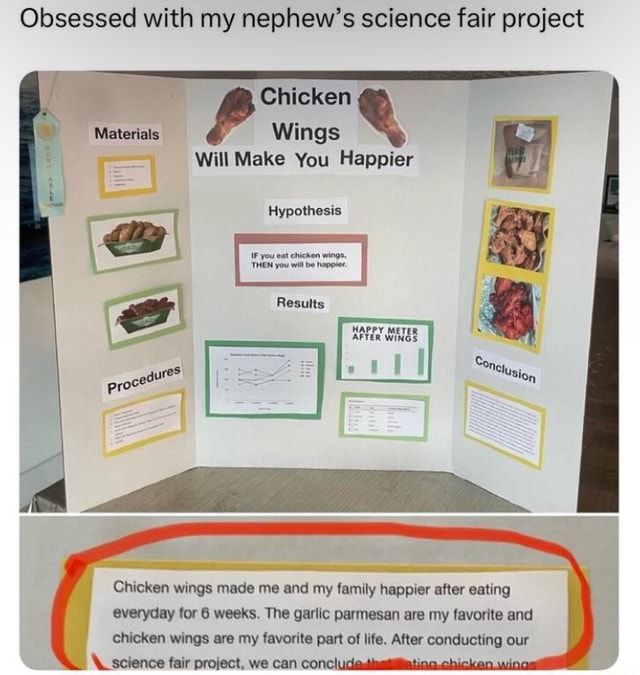 Obsessed with my nephew's science fair project Chicken Materials Wings ...