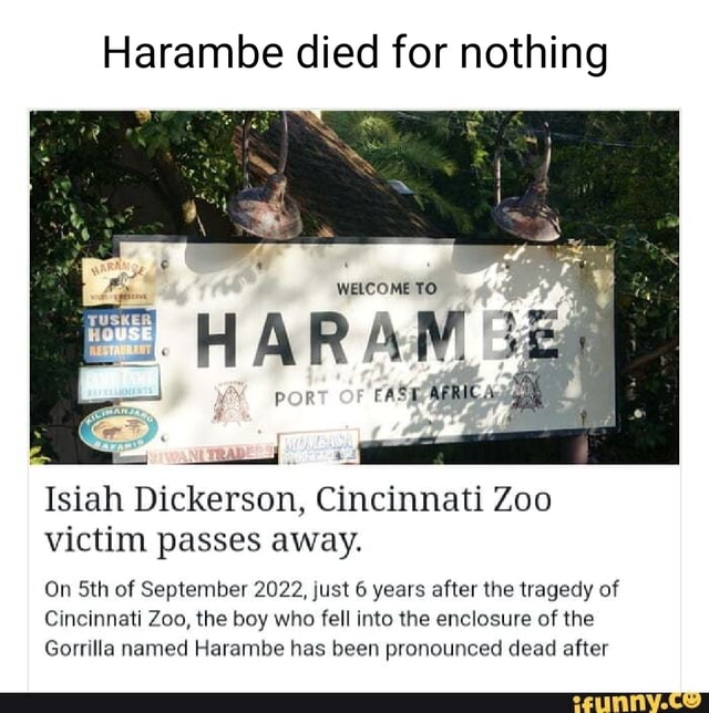 Harambe died for nothing WELCOME TO HAR AM: Isiah Dickerson, Cincinnati ...