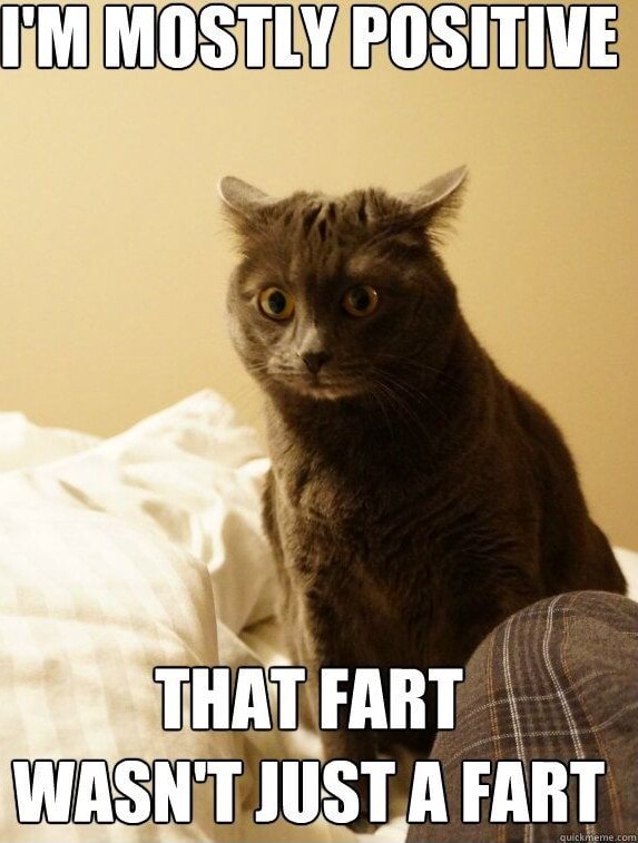 I'M MOSTLY POSITIVE THAT FART WASN'T JUST A FART - America’s best pics ...