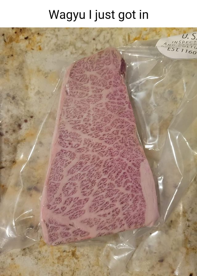 Wagyu I just got in I - iFunny