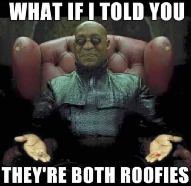 WHAT IF II TOLD YOU THEY'RE BOTH ROOFIES - iFunny