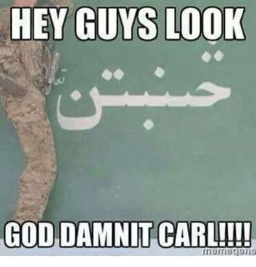 HEY GUYS LOOK GOD DAMNIT. CAREY - America’s best pics and videos